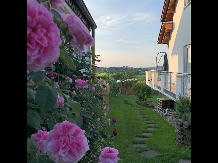 Ferienwohnung Bad Honnef, Nordrhein-Westfalen Appartement Aegidiusblick Ferienwohnung ...